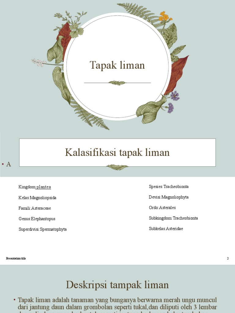 Khasiat dan Ciri Tumbuhan Tapak Liman | PDF