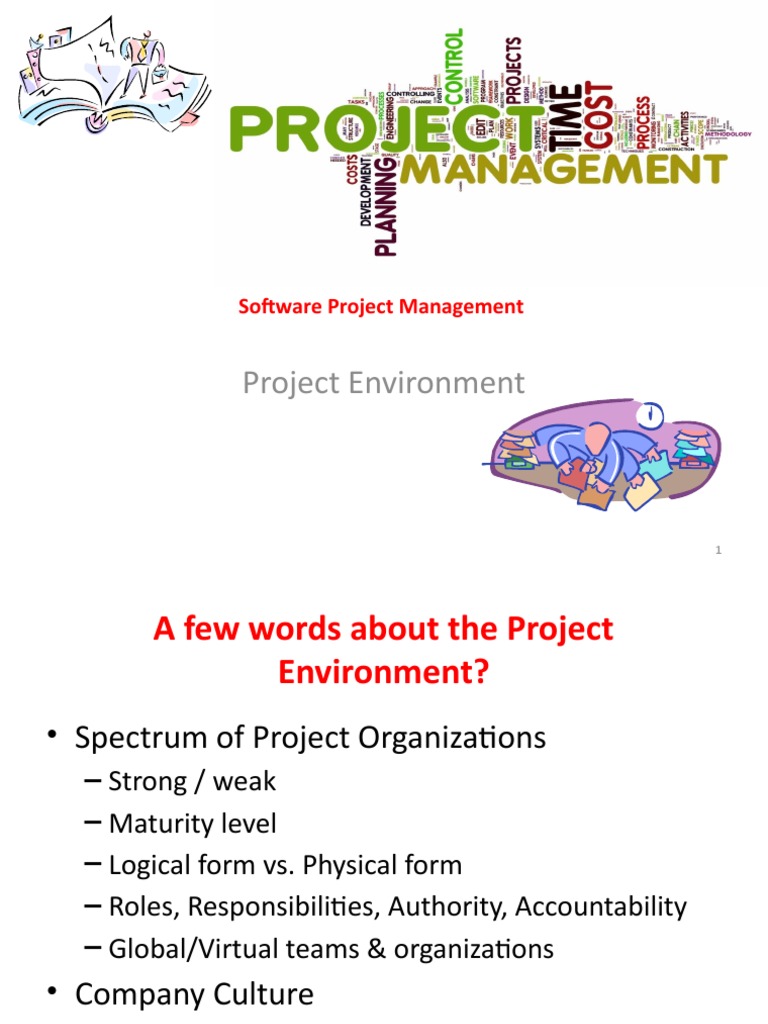 Project Environment | PDF | Organizational Culture | Organizational ...