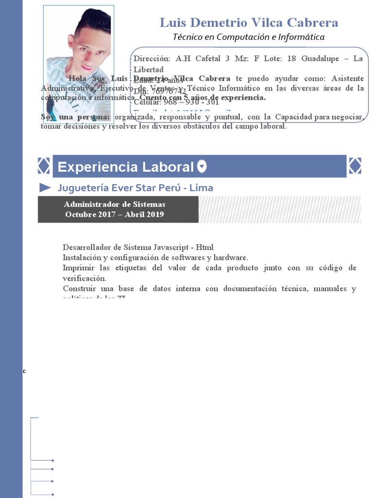 CV Luis 2023 | PDF | Negocios