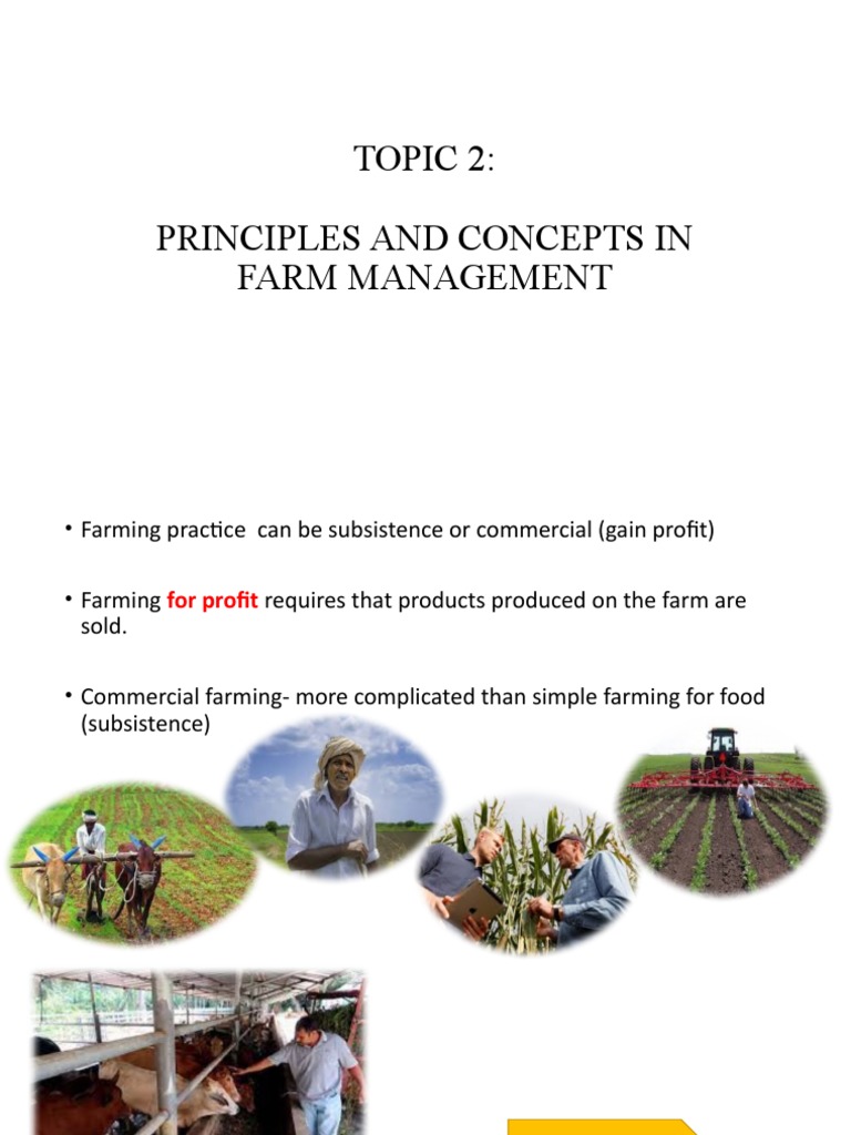 Principles of Effective Farm Management | PDF | Decision Making ...