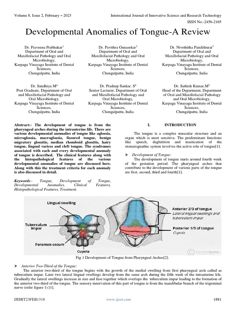 Developmental Anomalies of Tongue-A Review | PDF | Tongue | Diseases And Disorders