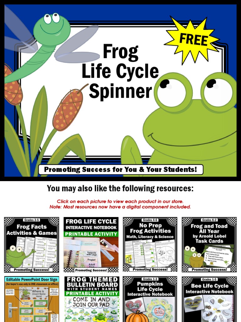 Frog Life Cycle Spinner: Promoting Success For You & Your Students ...