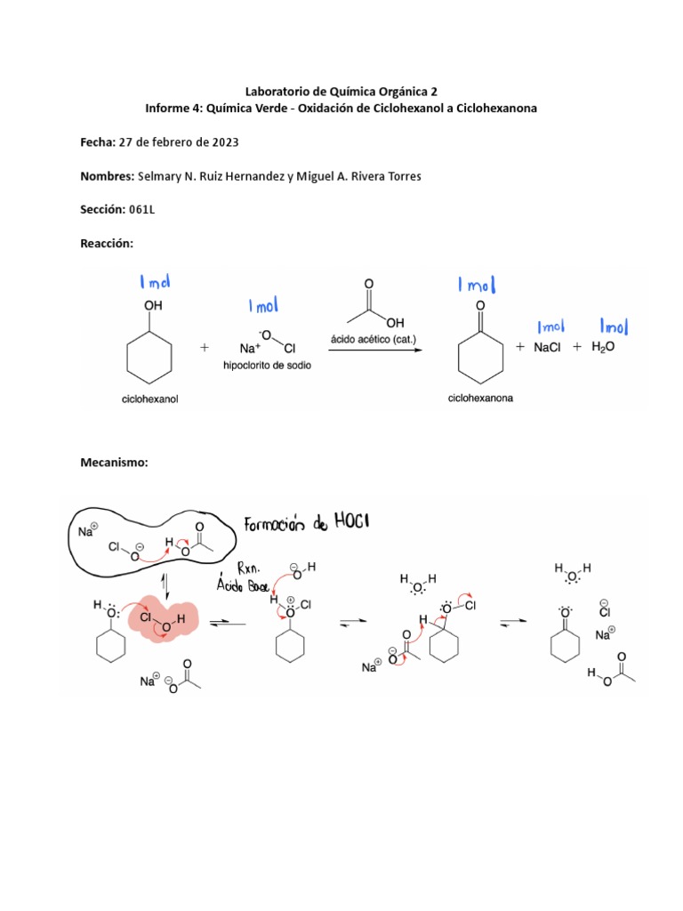 Oxidación de ciclohexanol a ciclohexanona mediante química verde: Informe del experimento | PDF ...