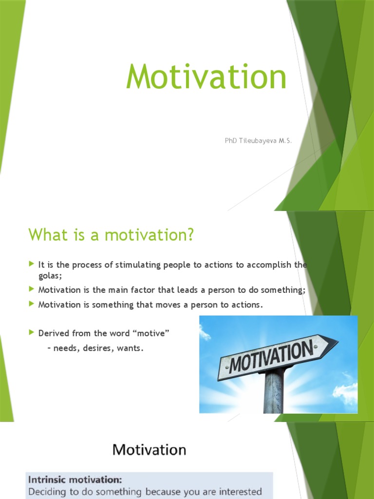 Motivation | PDF