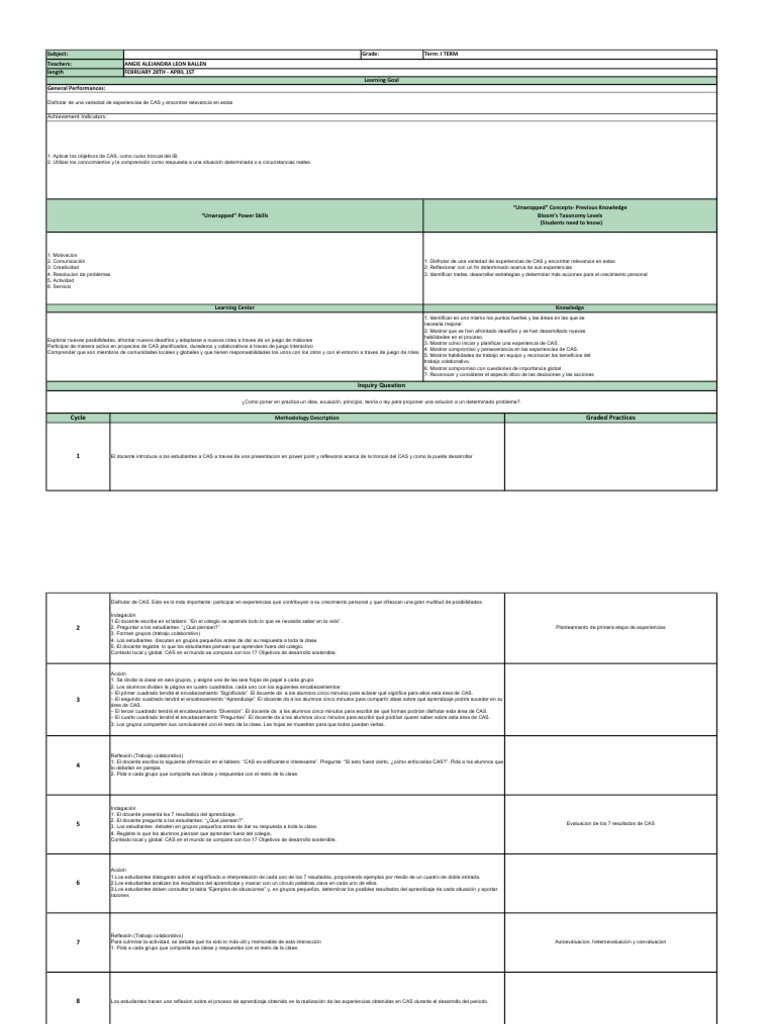 LESSON PLAN CAS | PDF