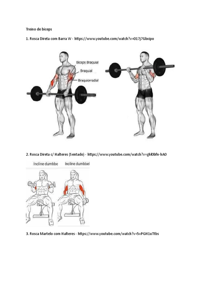 Bíceps | PDF