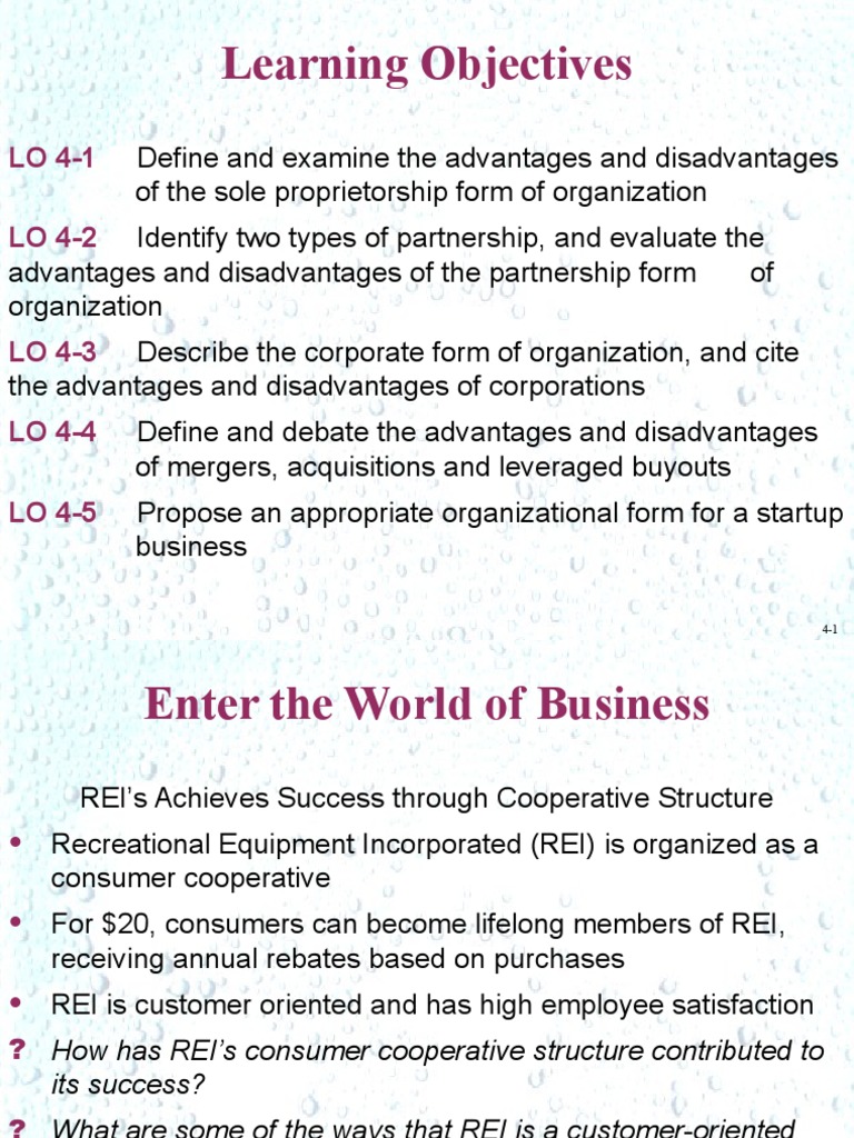 IPPTChap 004 | Download Free PDF | Partnership | Corporations