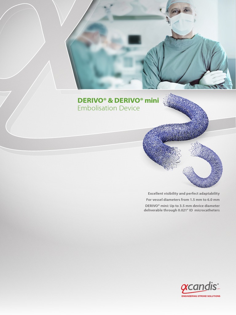 Derivo Derivo Mini Data Sheet - 601 - 1630501189 | PDF