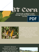 Benefits of the Tibig Tree (Ficus Nota) | PDF