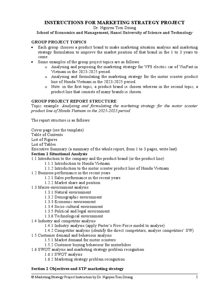 Group Project Marketing Strategy NguyenTienDung 2023.03 | PDF ...