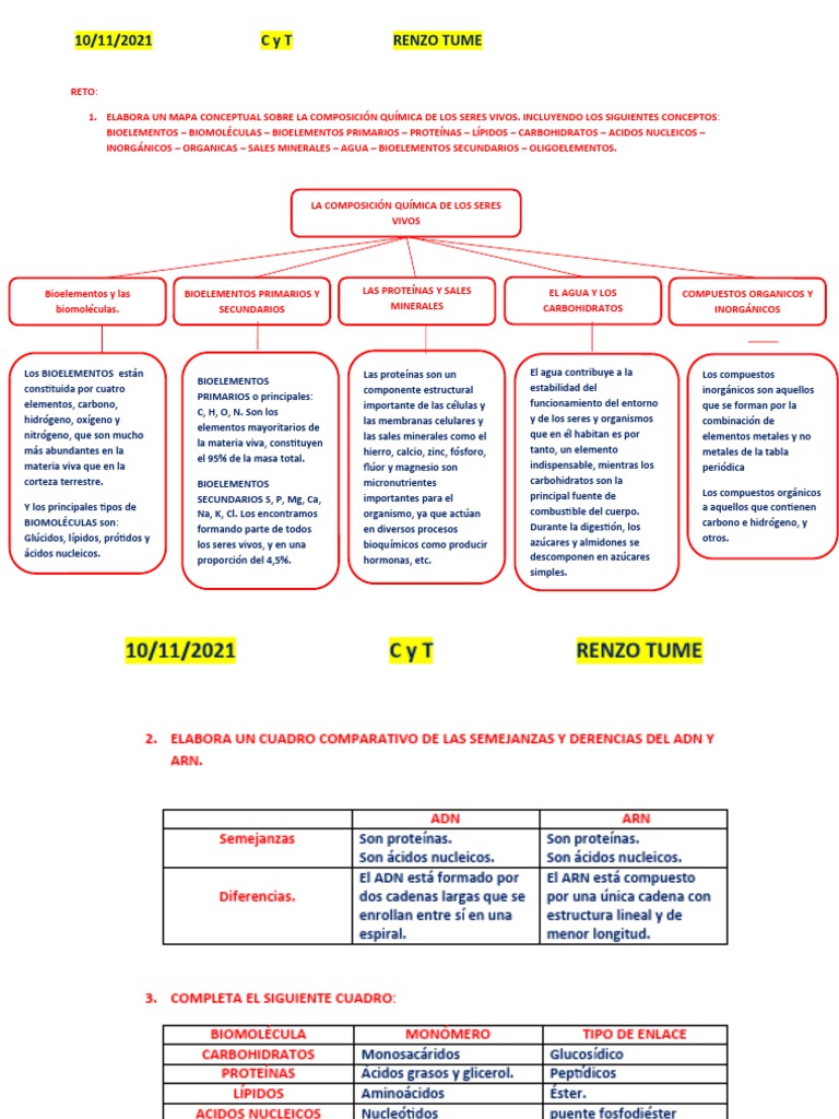 Cyt 10-11-2021 | PDF | Biomoléculas | Carbohidratos