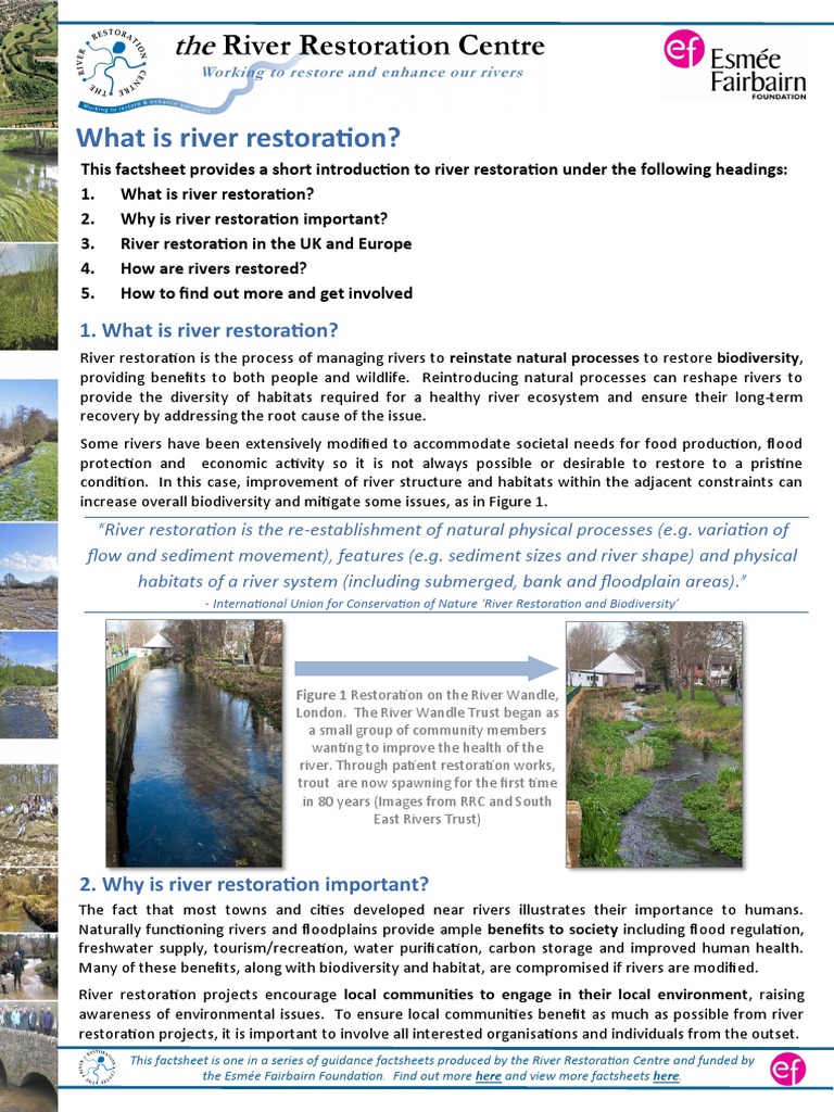 What Is River Restoration Final PDF | PDF | River | Restoration Ecology