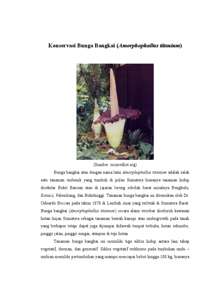 Konservasi Bunga Bangkai di Sumatera | PDF