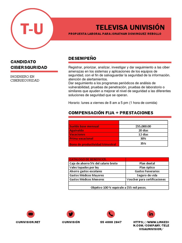 Televisa Univisión: Candidato Cibersguridad Desempeño | PDF