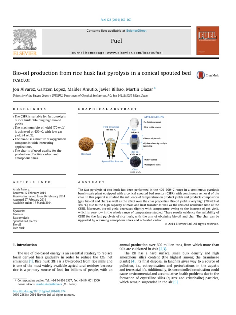 Rice Husk Fast Pyrolysis in A Conical Spouted Bed | PDF | Pyrolysis ...