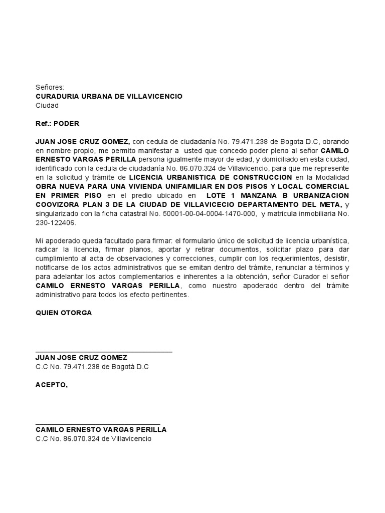 Poder LUIS ANTONIO VERGARA HIGUERA | PDF