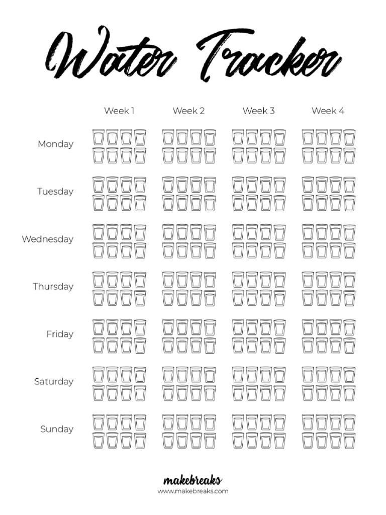 Water Tracker | PDF