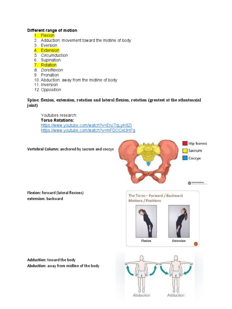 Different Range of Motion | PDF