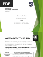 Modelos y Teorías de Enfermería - Lydia Hall | PDF | Enfermería | Medicina