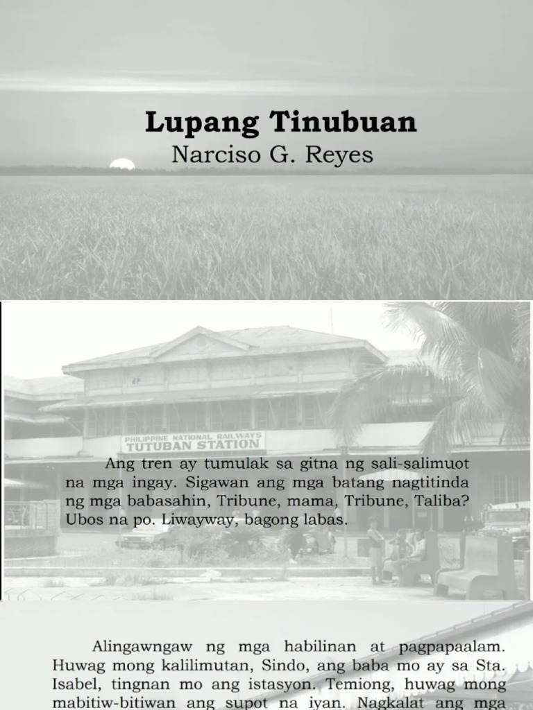 Lupang Tinubuan Ni Narciso Reyes | PDF
