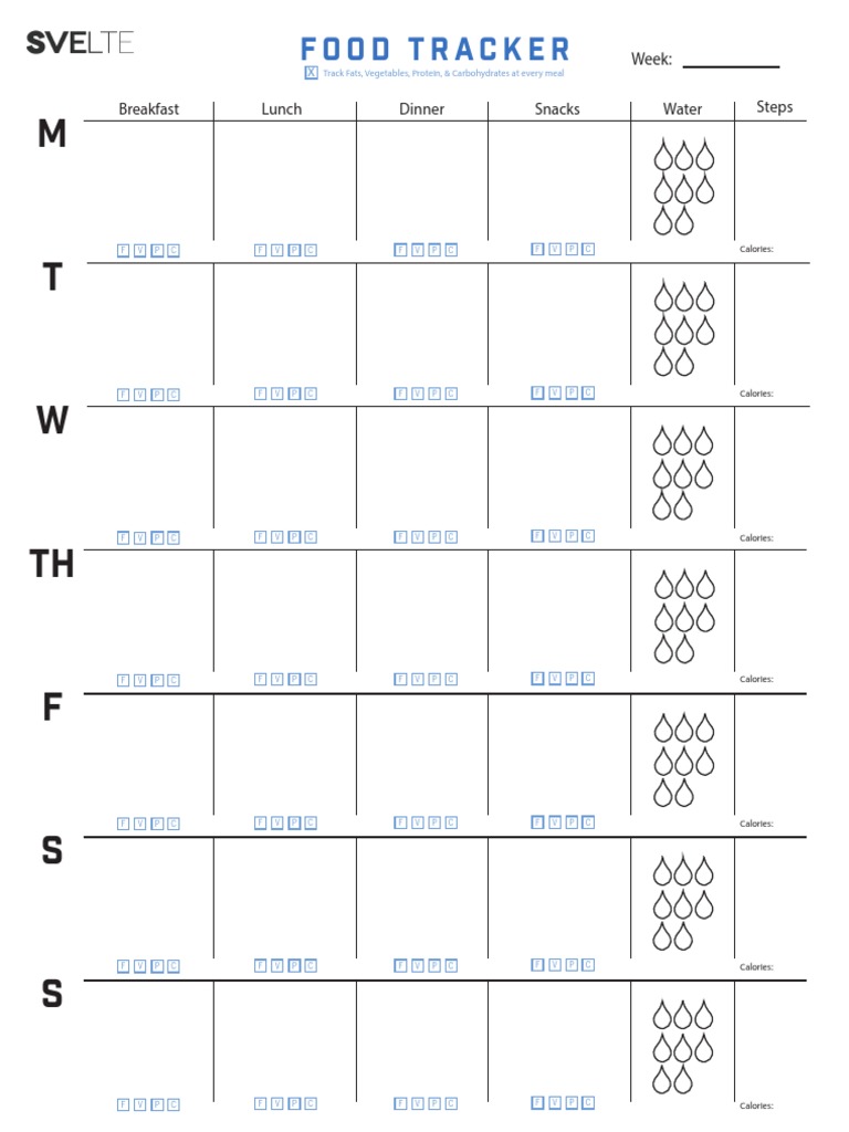 Svelte Food Log | PDF