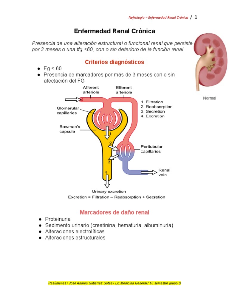Enfermedad Renal Cronica | PDF | Enfermedad renal crónica | Nefrología
