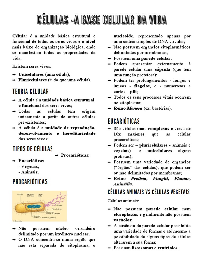 Resumo - Células | PDF | Célula (Biologia) | Citoplasma