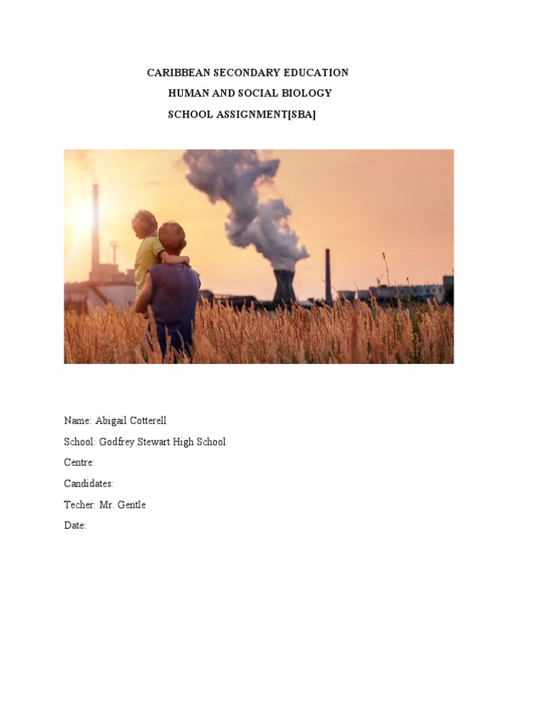 HSB Sba Sample (Incomplete) | PDF | Air Pollution | Waste