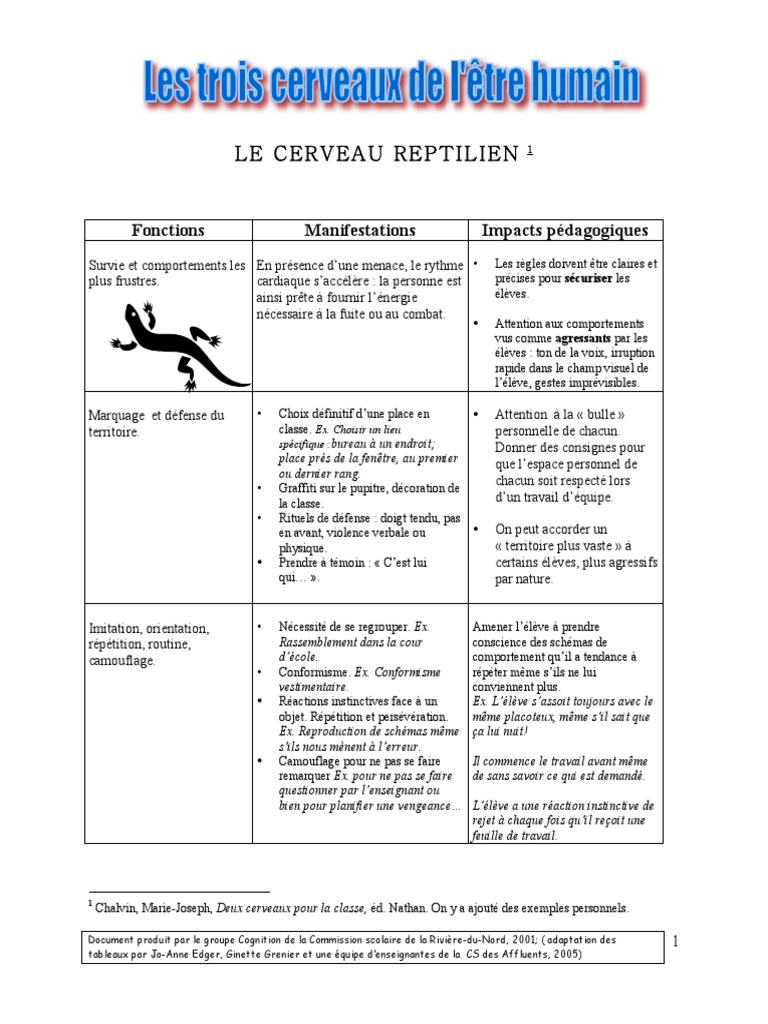 Comprendre les cerveaux en classe | PDF | Émotions | Mémoire