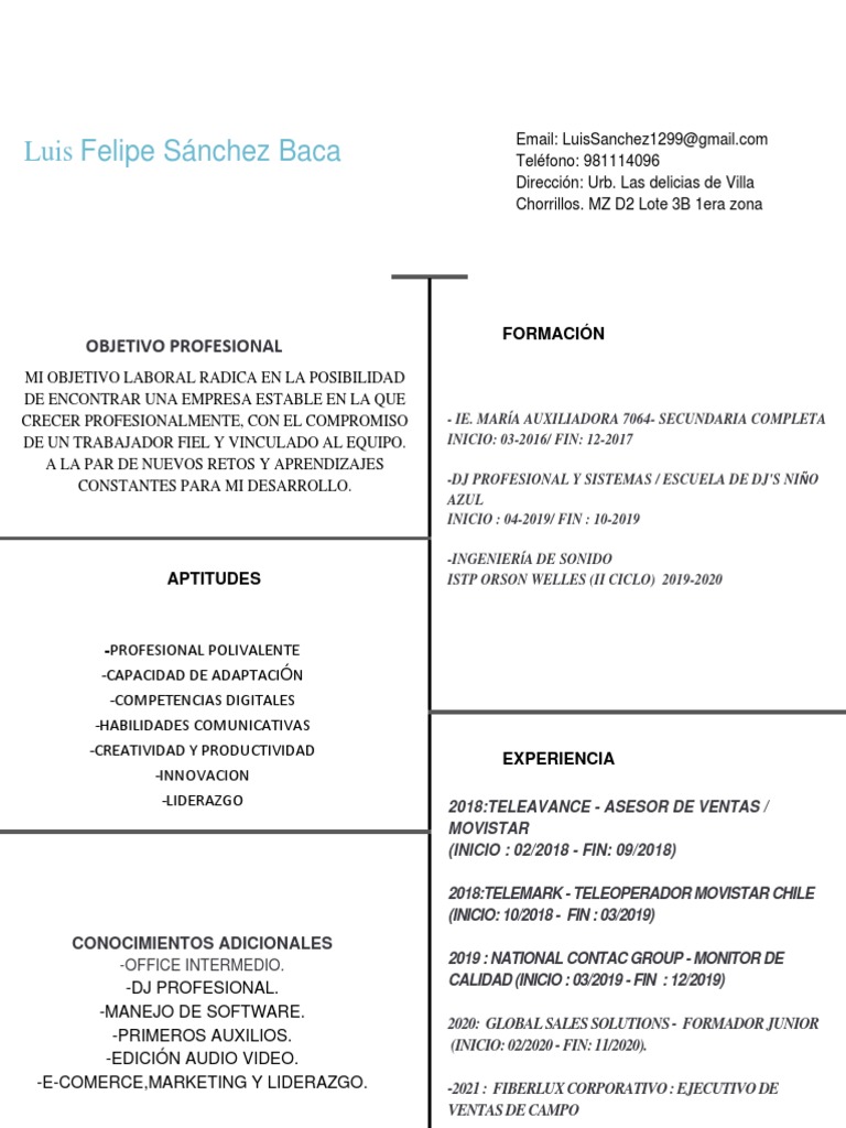 Curriculum - Luis Felipe Sánchez Baca PDF | PDF | Crecimiento personal y profesional