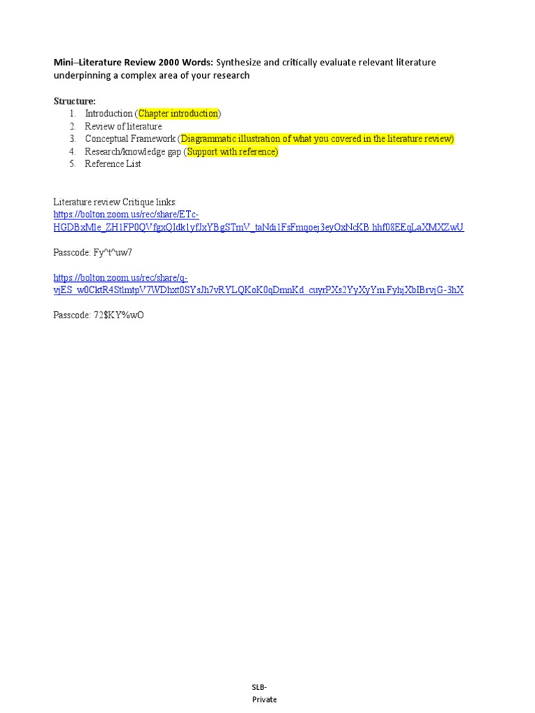 Mini Literature Review | PDF