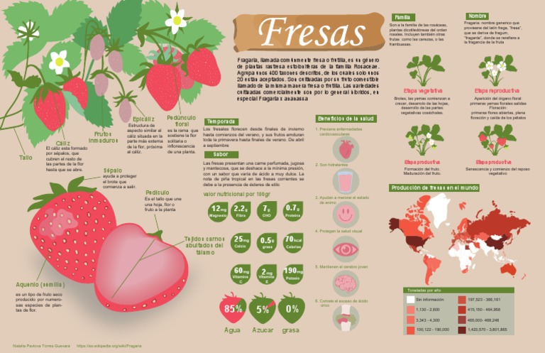Infografía Fresas | PDF | fresa | Plantas