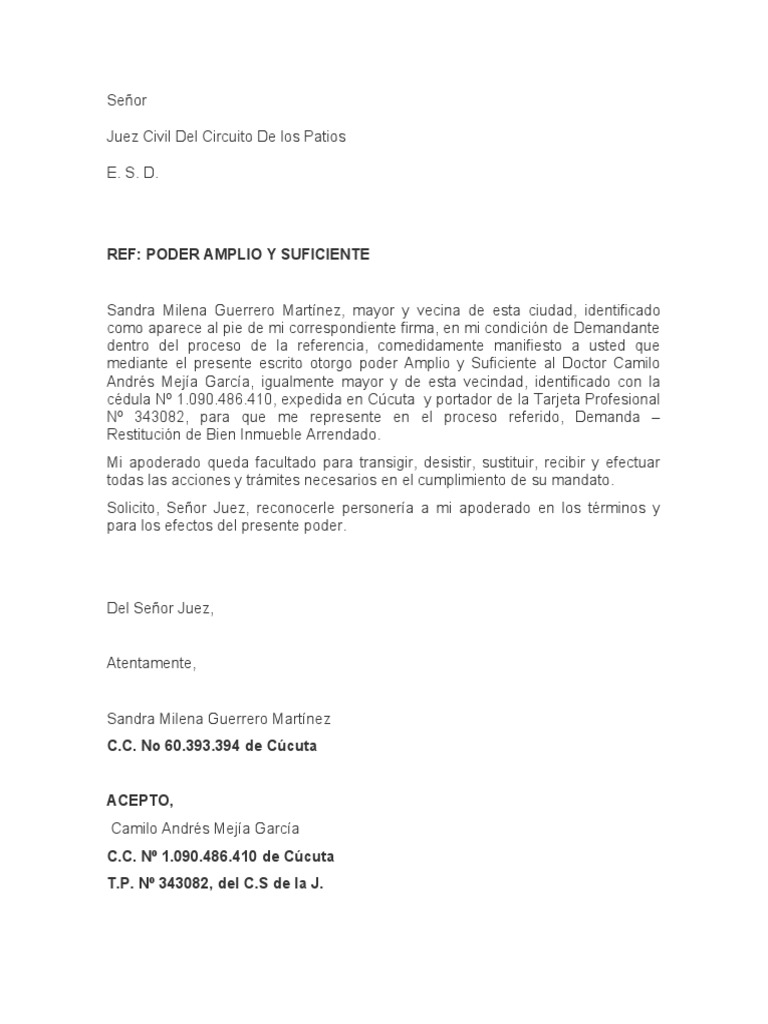 Poder Amplio y Suficiente Sandra Milena | PDF