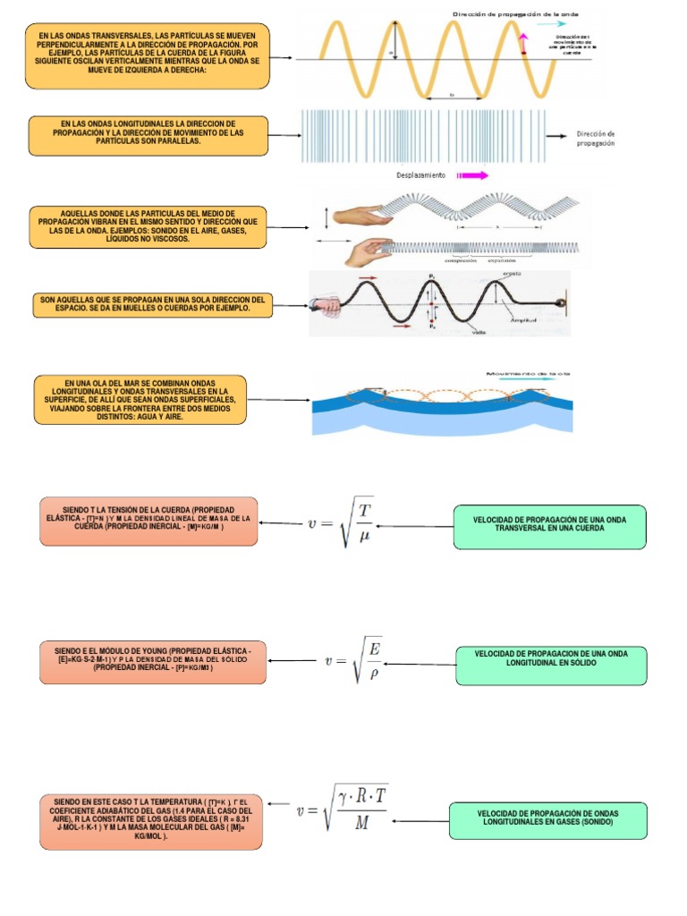 Hoja De Trabajo De Ondas Transversales Y Longitudinales