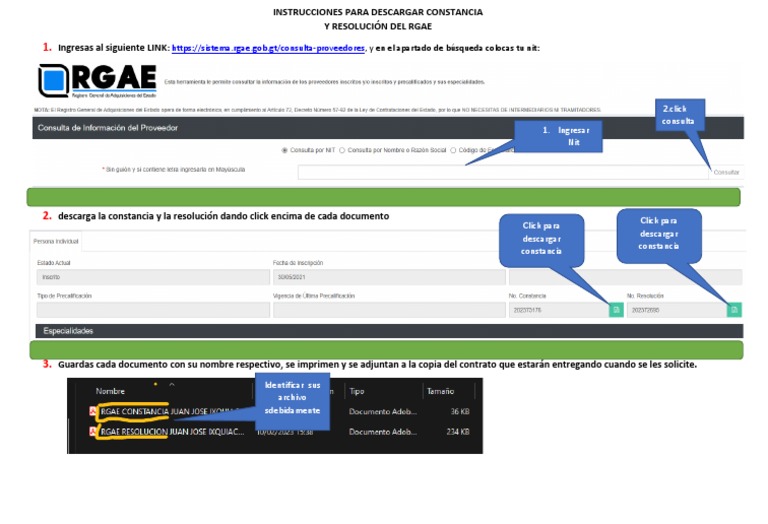 INSTRUCCIONES DESCARGA DE ONSTANCIAS RGAE.pdf | PDF