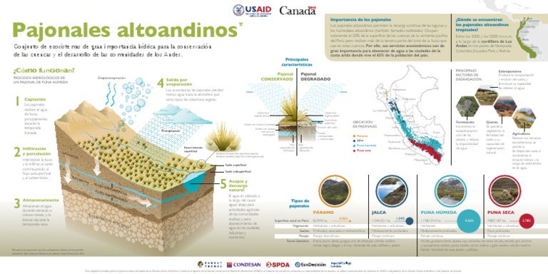 Infografia Pajonales | PDF | Andes | Suelo