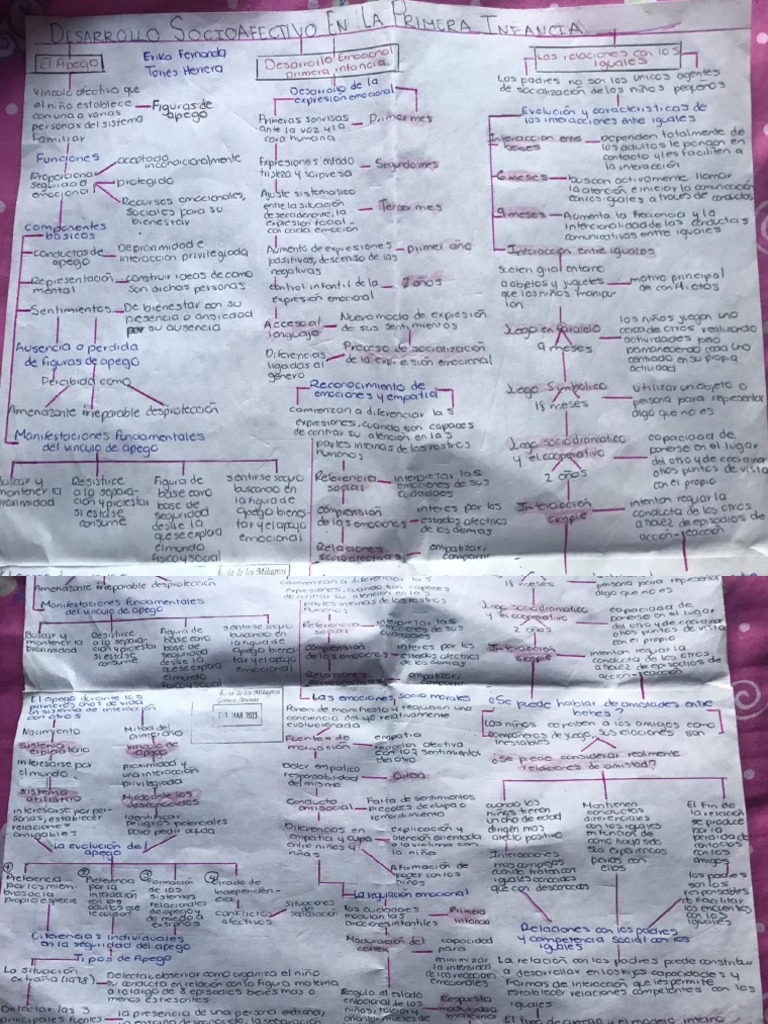 Mapa Capitulo 5 | PDF