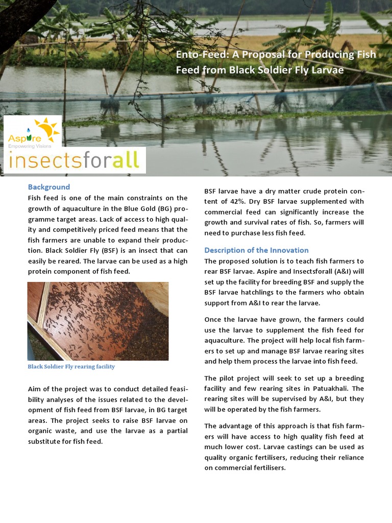 Fish Farmers' Guide to BSF Feed | PDF | Aquaculture | Agriculture