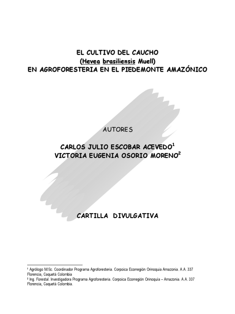 Cultivando el futuro: Guía para el cultivo sostenible del caucho en ...