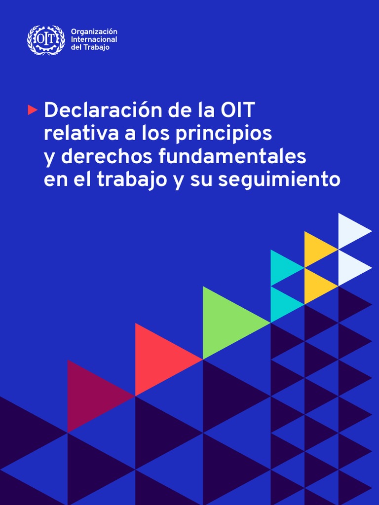 OIT Principios y Derechos Fundamentales en El Trabajo | PDF | Organización Internacional del ...