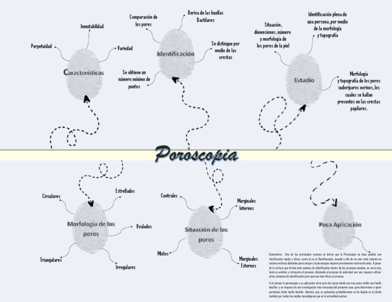 Mapa Mental Dactiloscopía | PDF | Huella dactilar