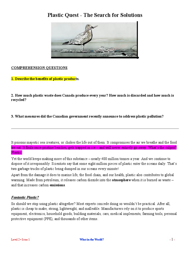 Plastic Quest Article and Questions | PDF | Plastic | Waste