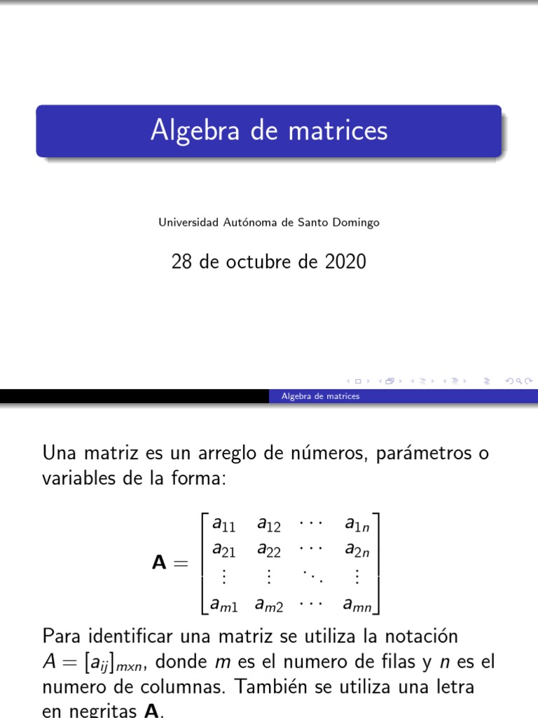 Algebra de Matrices | PDF