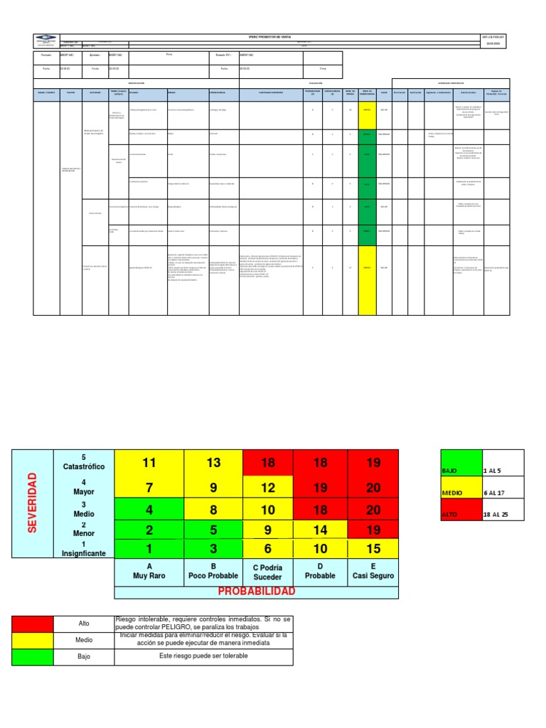 Matriz IPER PDF | PDF | Enfermedades y trastornos | Medicina