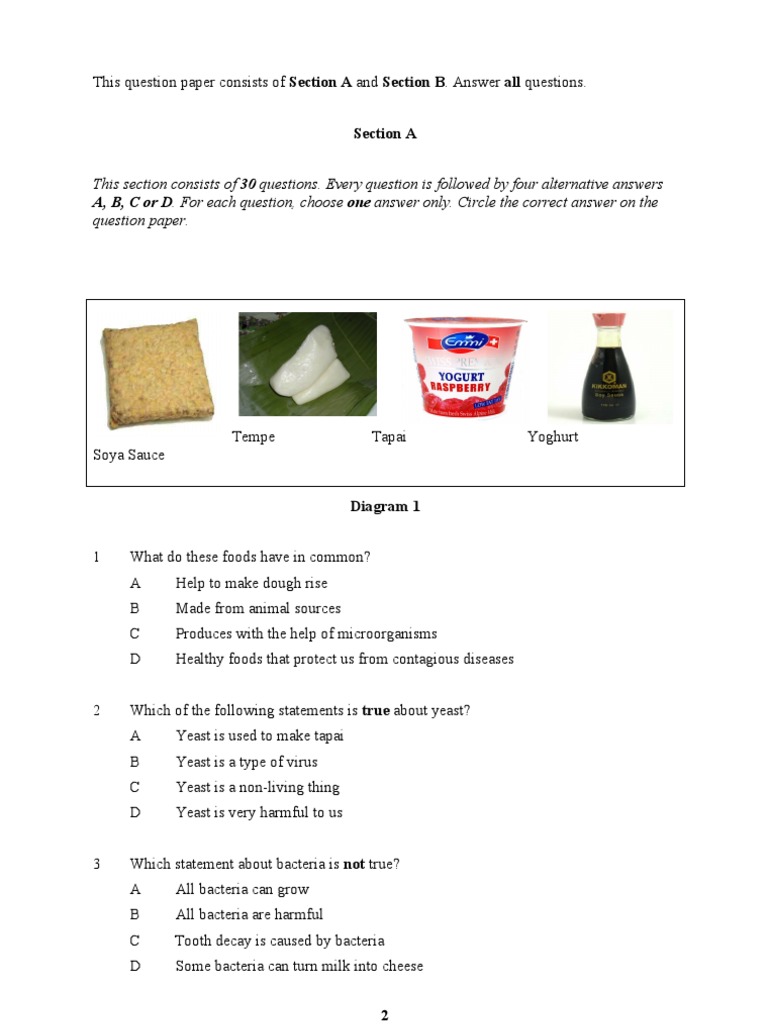 Mid Year P5 - Science (A) | PDF | Energy Development | Electricity