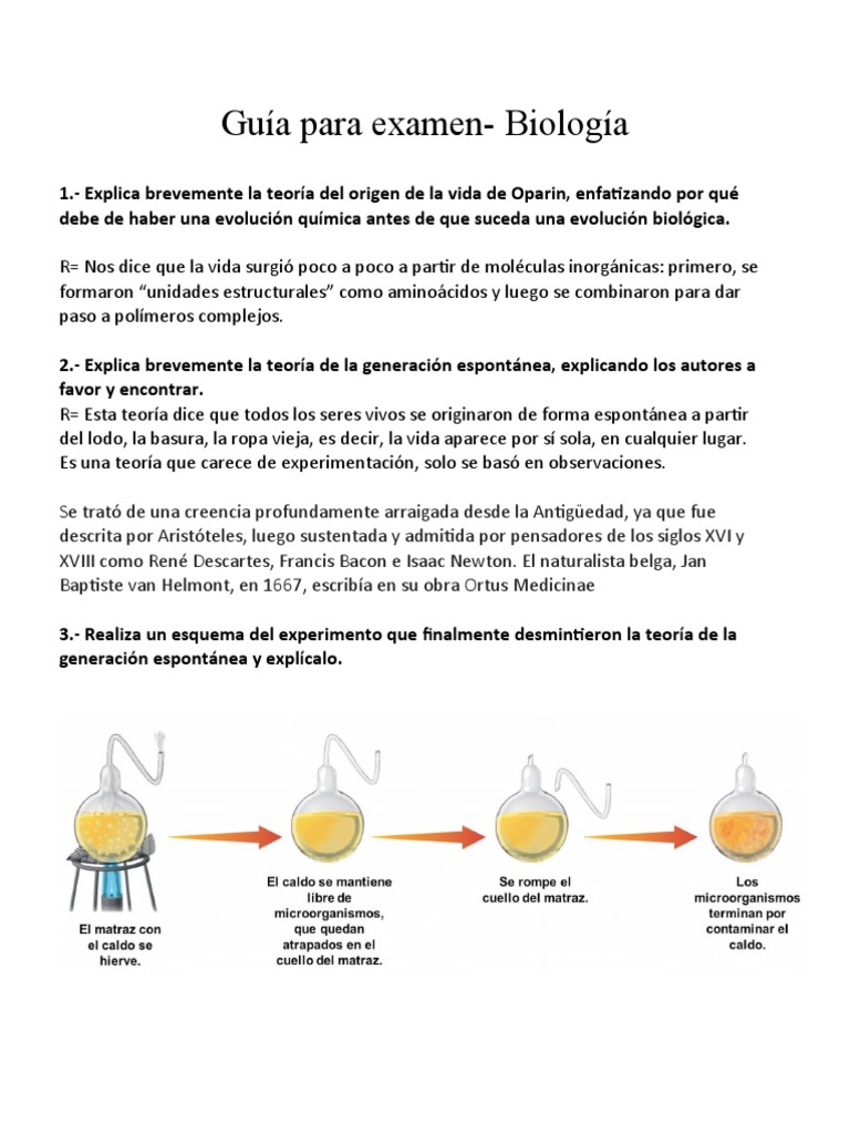Guía para Examen | PDF | Evolución | Gene