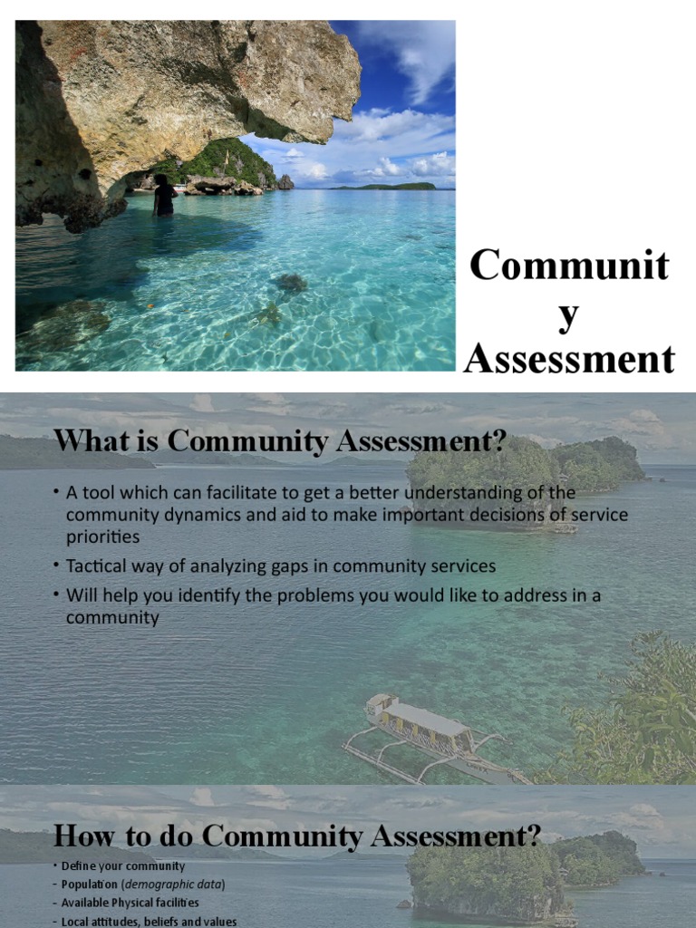 Community Assessment Overview and Methods | PDF