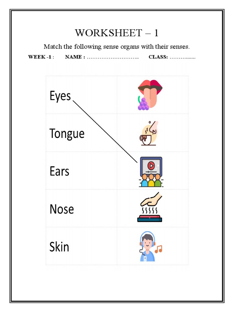 Evs Worksheets | PDF