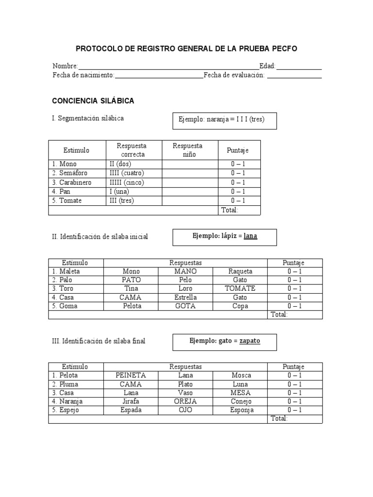 PECFO - Hoja de Registro | PDF