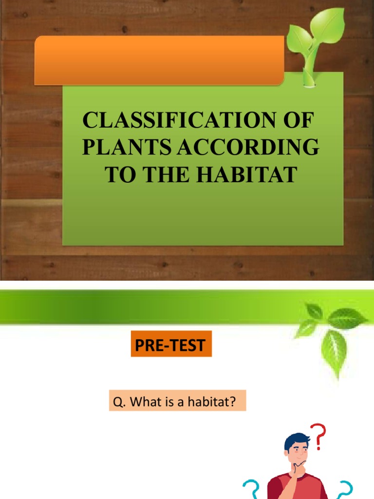 Classification of Plants by Habitat | PDF | Plants | Root